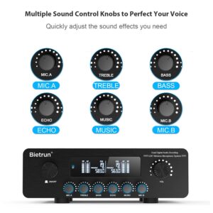 Wireless Microphone with Bluetooth＆Echo/Treble/Bass, 165 ft Range, Bietrun UHF Dual Handheld Cordless Dynamic Mic System for PA System/AMP/Home TV Karaoke/Bluetooth Speaker/(1/4''＆1/8‘’AUX Interface)