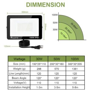 Royana 100W LED Flood Light Outdoor with Plug, IP65 Waterproof LED Work Lights, Portable Daylight White Floodlight Spotlight, 6000K 10000LM Super Bright Security Light for Yard Garden Court Lawn