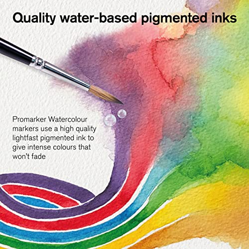 Winsor & Newton ProMarker Watercolor Marker Set, 12 Count, Landscape Tones