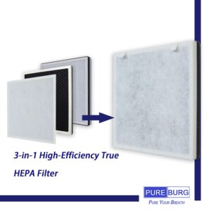 PUREBURG IC-5018 Replacement True HEPA Filter Compatible with InvisiClean Aura IC-5018 Aura II IC-5018 Sensa IC-5120 Air Purifiers,H13 Activated Carbon,2-Pack