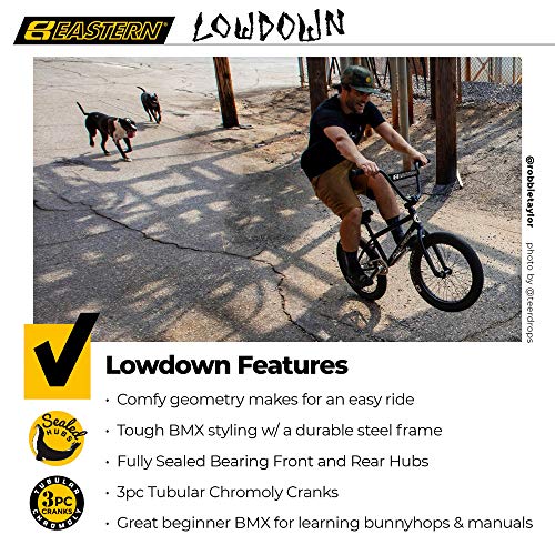 Eastern Bikes Eastern BMX Bikes - Lowdown Model 20 Inch Bike. Lightweight Freestyle Bike Designed by Professional BMX Riders at (Black & Camo)