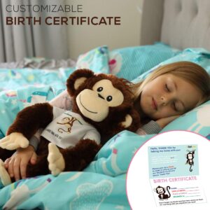 Inflatable Monkey Plush Toy - 11 Inch Stuffed Animal with Sticky Hands & Feet for Monkey Lovers