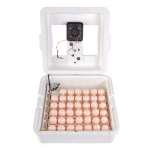 Little Giant 9300 Digital Still Air Incubator w/ LCD Display, 41 Eggs (2 Pack)