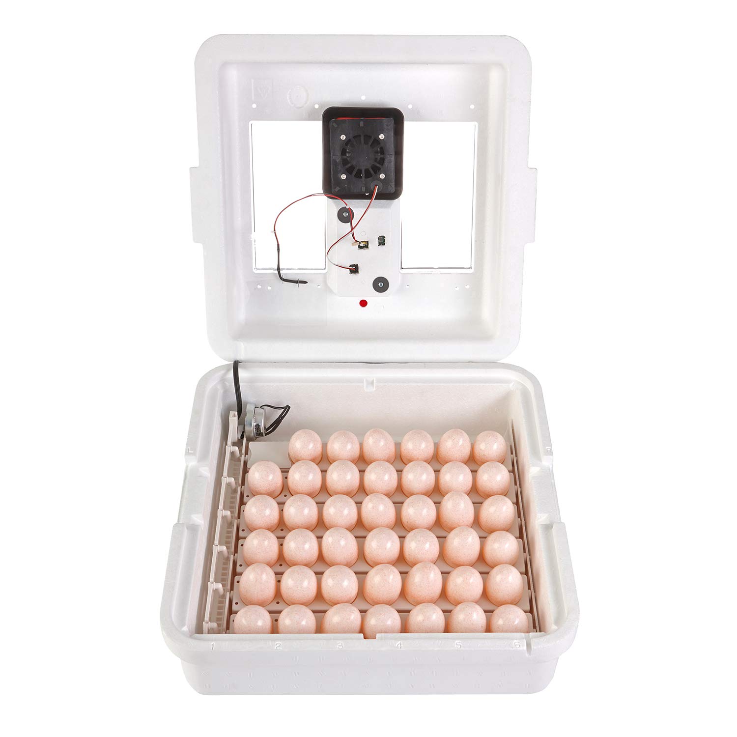 Little Giant 9300 Digital Still Air Incubator w/ LCD Display, 41 Eggs (2 Pack)