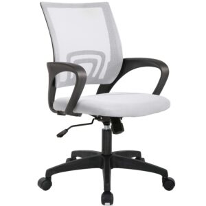 home office chair ergonomic desk chair mesh computer chair with lumbar support armrest executive rolling swivel adjustable mid back task chair for women adults (white)