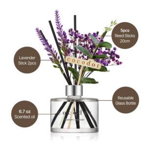 COCODOR Lavender Reed Diffuser/Garden Lavender / 6.7oz(200ml) / 1 Pack/Home Decor & Office Decor, Fragrance and Gifts