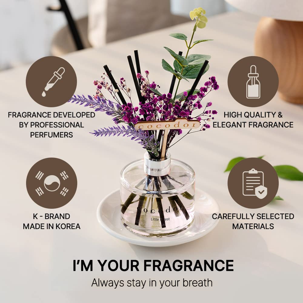 COCODOR Lavender Reed Diffuser/Garden Lavender / 6.7oz(200ml) / 1 Pack/Home Decor & Office Decor, Fragrance and Gifts