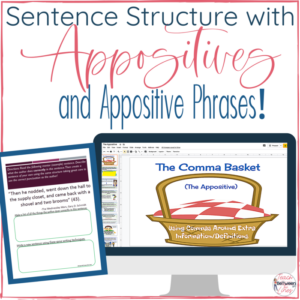 appositives and appositive phrases sentence structure lesson and activities