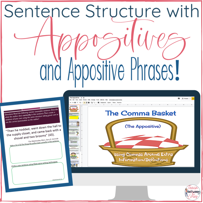 Appositives and Appositive Phrases Sentence Structure Lesson and Activities