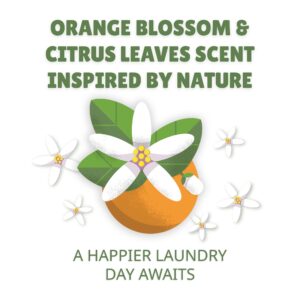 Botanical Origin Plant-based Laundry Detergent Orange Blossom and Citrus Leaves, 54 oz (72 loads)