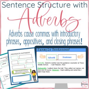 grammar: sentence structure and sentence variety lesson using adverbs!