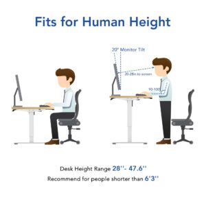 FLEXISPOT EC3 Dual Motor Electric Standing Desk 55x28 Inch Seamless Solid Slab Stand Up Desk Sturdy Electric Adjustable Desk Home Office Desk Electric Computer Workstation, White Frame, White Desktop