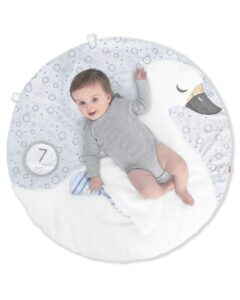 skip hop baby milestone blanket, little swan