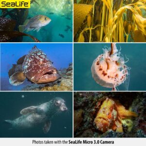 SeaLife Micro 3.0 Pro 3000 Underwater Camera & Light Set for Photography and Video, Easy Set-up, Wireless Transfer, Includes Sea Dragon Travel case