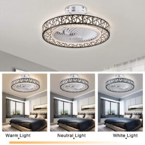 OUKANING Ceiling Fan with Lights 22-23 inch Invisible Acrylic Blade Metal Shell Ceiling Light Fan, LED Remote Control 3-Color Dimmable Lighting Fan (22" Water Drop Pattern)