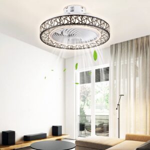 OUKANING Ceiling Fan with Lights 22-23 inch Invisible Acrylic Blade Metal Shell Ceiling Light Fan, LED Remote Control 3-Color Dimmable Lighting Fan (22" Water Drop Pattern)