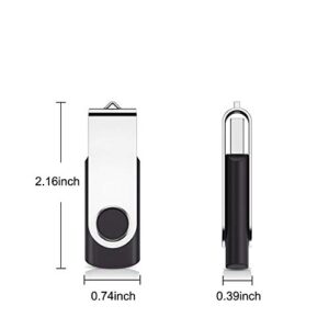 2GB Flash Drive 10 Pack, SRVR USB 2.0 Flash Drive, 2 Gig Thumb Drive with Lanyards Metal Swivel 2GB USB Memory Stick Pen Drive with LED Indicator(10 Black)