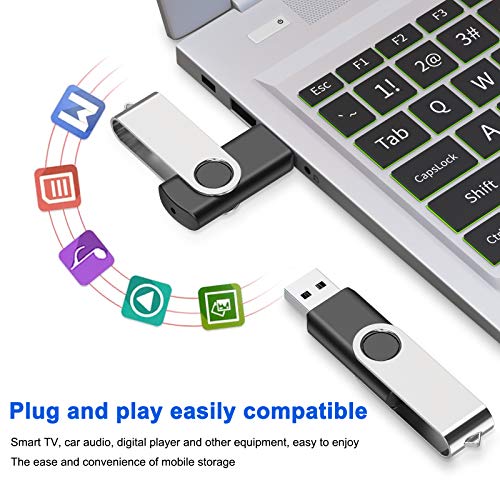 2GB Flash Drive 10 Pack, SRVR USB 2.0 Flash Drive, 2 Gig Thumb Drive with Lanyards Metal Swivel 2GB USB Memory Stick Pen Drive with LED Indicator(10 Black)