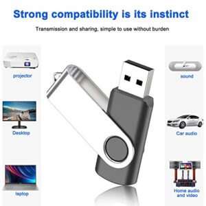 2GB Flash Drive 10 Pack, SRVR USB 2.0 Flash Drive, 2 Gig Thumb Drive with Lanyards Metal Swivel 2GB USB Memory Stick Pen Drive with LED Indicator(10 Black)