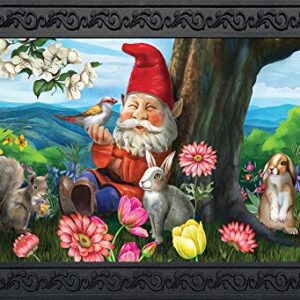 Briarwood Lane Garden Gnome Spring Doormat Birds Floral Indoor Outdoor 30" x 18"