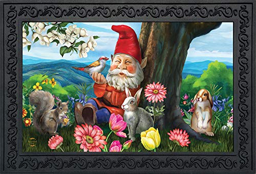 Briarwood Lane Garden Gnome Spring Doormat Birds Floral Indoor Outdoor 30" x 18"