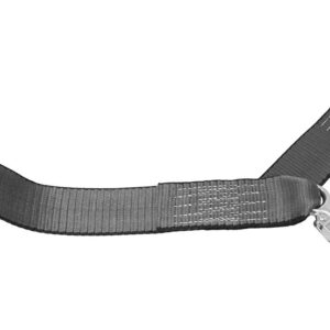 CustomTieDowns 2 Inch x 20 Foot Replacement Winch Strap, Tow Strap, 2 Forged Hooks, 1 Inch Long Loop Opening On The Opposite End. Breaking Strength: 10000 lb (Gray)