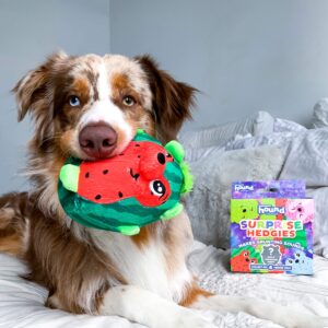 Outward Hound Surprise Hedgies Dog Toys - UNbox and Surprise! Collect All 3 Grunting Hedgies Dog Toys!