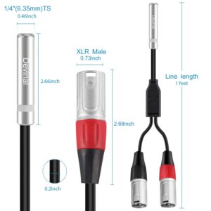 Devinal 1/4 inch Female to Dual XLR Breakout Cable, 6.35mm Female TRS to 2 XLR Male Audio Converter, Female Quarter inch Socket Y Splitter Cord Wire 1FT