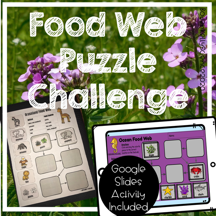 Build A Food Web Challenge include Google Activity