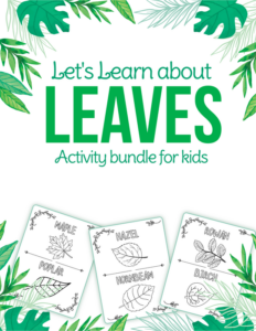 let's learn about leaves activity bundle for kids