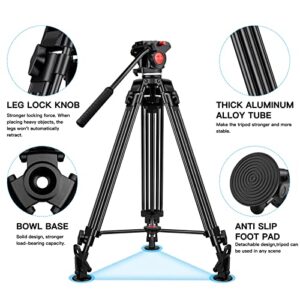 Tripod, 75 inch Tripod for Camera, Heavy Duty Camera Tripod Stand with Fluid Head, 2 Quick Release Mounts and Tablet & Phone Mount, Compatible with DSLR Canon Nikon Sony, 15 lbs Loads Black