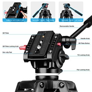 Tripod, 75 inch Tripod for Camera, Heavy Duty Camera Tripod Stand with Fluid Head, 2 Quick Release Mounts and Tablet & Phone Mount, Compatible with DSLR Canon Nikon Sony, 15 lbs Loads Black