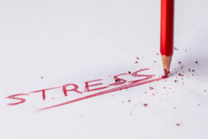 how do individuals respond to stress?