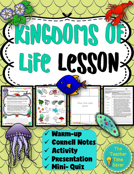 Kingdoms of Life Classification Lesson