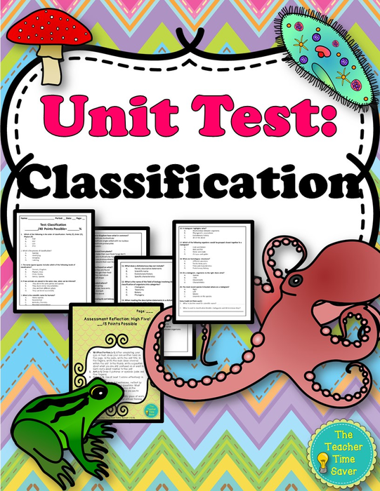 Classification Assessment and Reflection