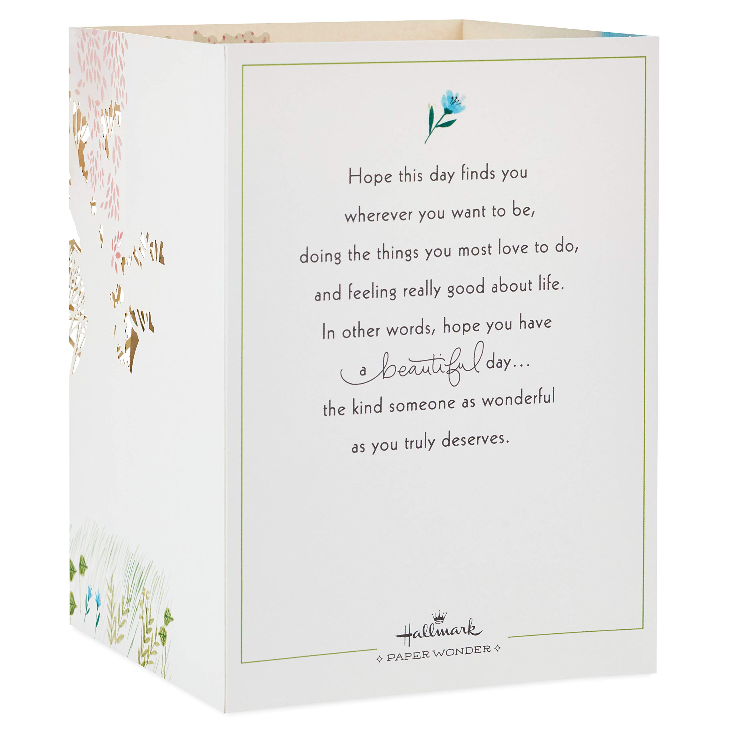 Hallmark Paper Wonder Displayable Pop Up Birthday Card for Women (Beautiful Day)