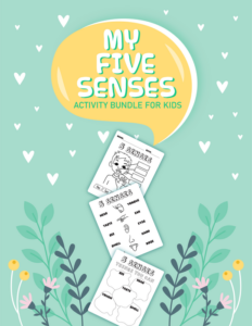 my five senses activity bundle for kids