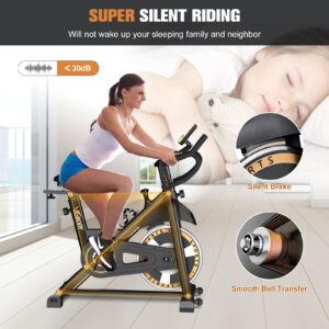 VIGBODY Stationary Exercise Bike Indoor Cycling Bike for Cardio Workout, with Comfortable Seat Cushion, LCD Monitor for Home Training Bike