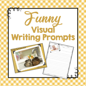 printable funny visual writing prompts