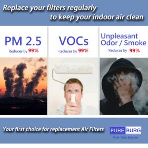 PUREBURG Replacement True HEPA Filter Set fits to Molekule Air Purifier,H13 Activated carbon 2-IN-1 Pre-Filter Air Clean Dust VOCs Odor PM2.5