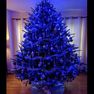 Dooit 66FT 200 Led Christmas Lights, Connectable Plug in 8 Twinkle Modes Outdoor Indoor Lights for Christmas Tree Party Wedding Garden Decorations (Blue)