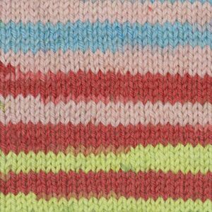 Patons Kroy Socks Yarn, 2-Pack, Meadow Stripes Plus Pattern