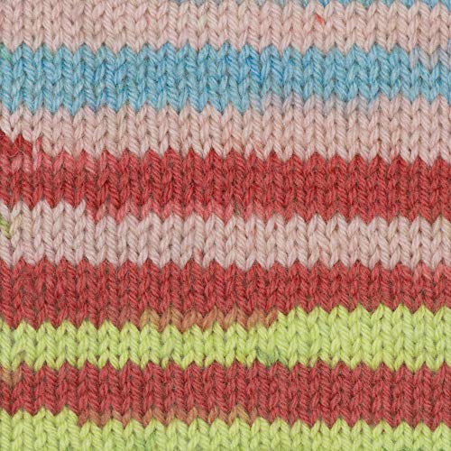 Patons Kroy Socks Yarn, 2-Pack, Meadow Stripes Plus Pattern