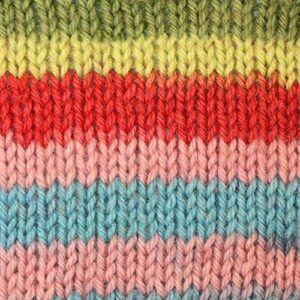 Patons Kroy Socks Yarn, 2-Pack, Meadow Stripes Plus Pattern