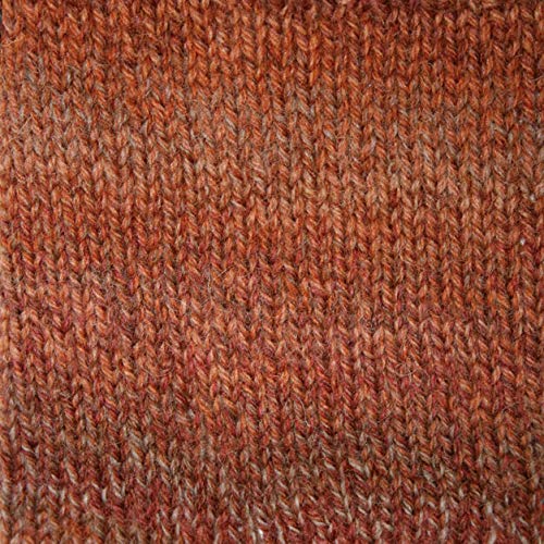 K-Musculo Patons Kroy Socks FX Yarn, 2-Pack, Copper Colors