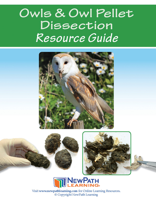 Owls and Owl Pellet Dissection Resource Guide