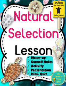 charles darwin and natural selection lesson