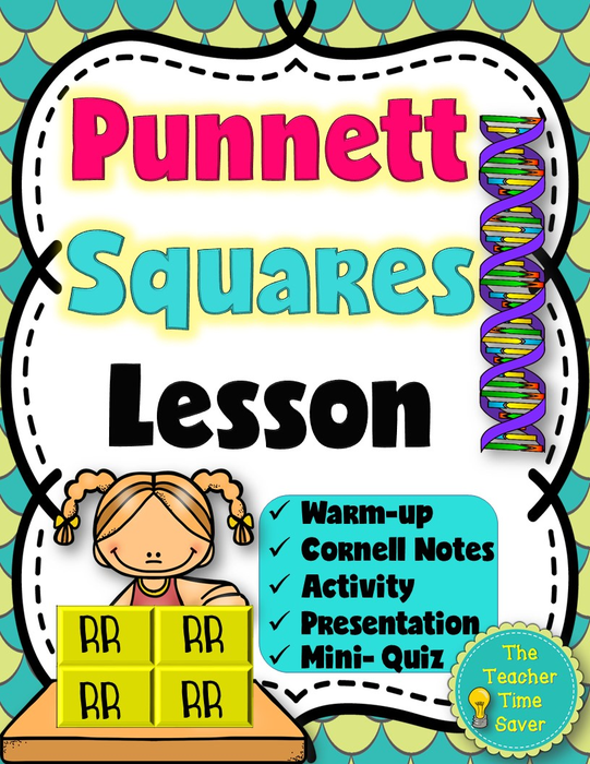 Punnett Squares Genetics Biology Lesson