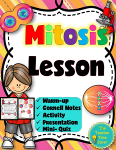 mitosis biology lesson