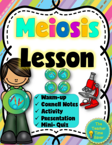 meiosis biology printable lesson